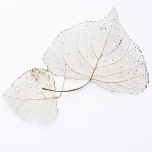 2-blätter-qpppppppppppppp - Osteopathie-Praxis Patrick Bick